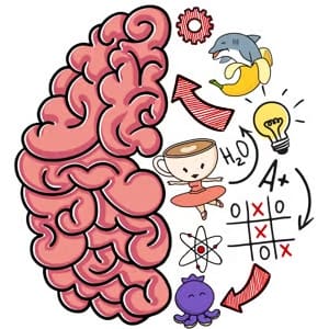 Free Online Brain Games - TopGames.Com