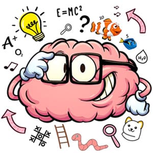 Free Online Brain Games - TopGames.Com