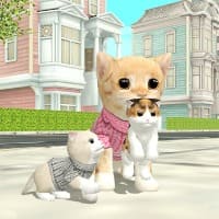 Cat Simulator - Play Cat Simulator Online at TopGames.Com