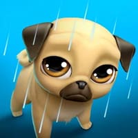 Bubbu – My Virtual Pet online - Play Bubbu – My Virtual Pet online at ...