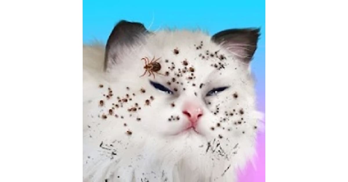 Download Cat Makeover and play Cat Makeover Online - TopGames.Com