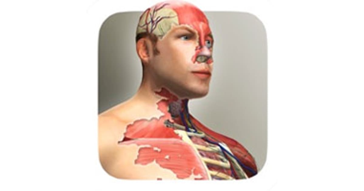 Download Idle Human and play Idle Human Online - TopGames.Com