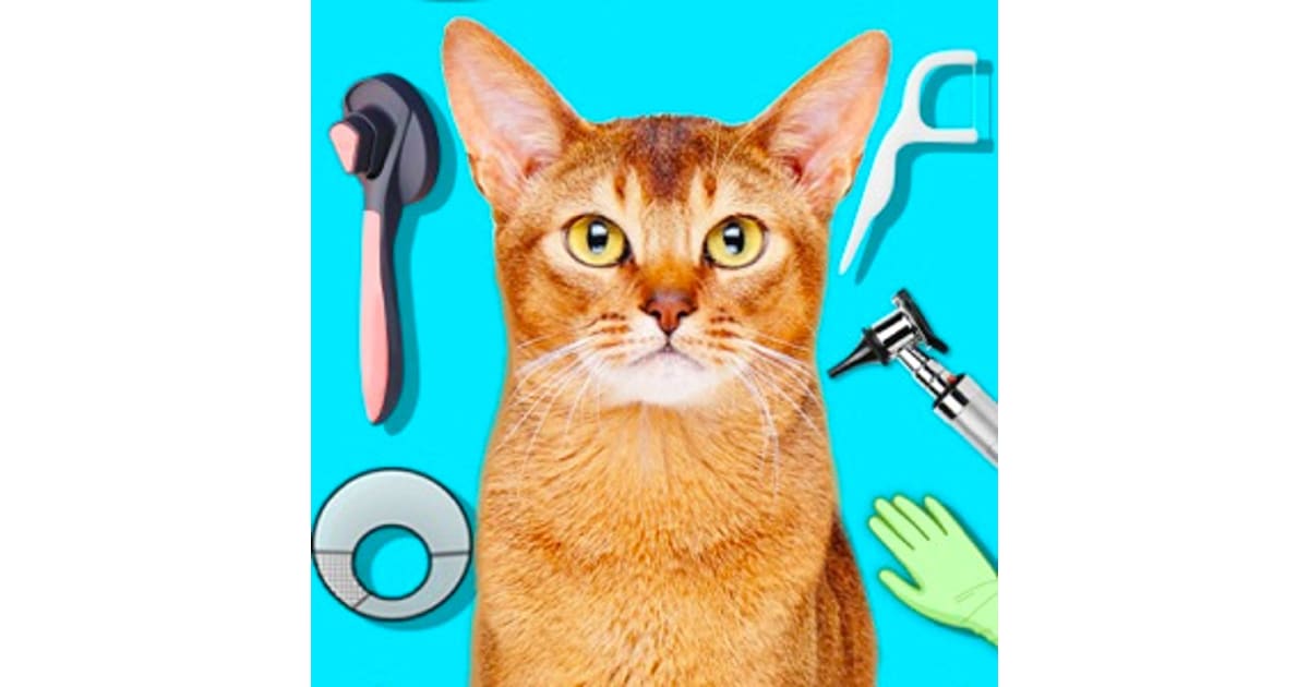 Cat Pet Doctor Dentist - Play Cat Pet Doctor Dentist Online at TopGames.Com