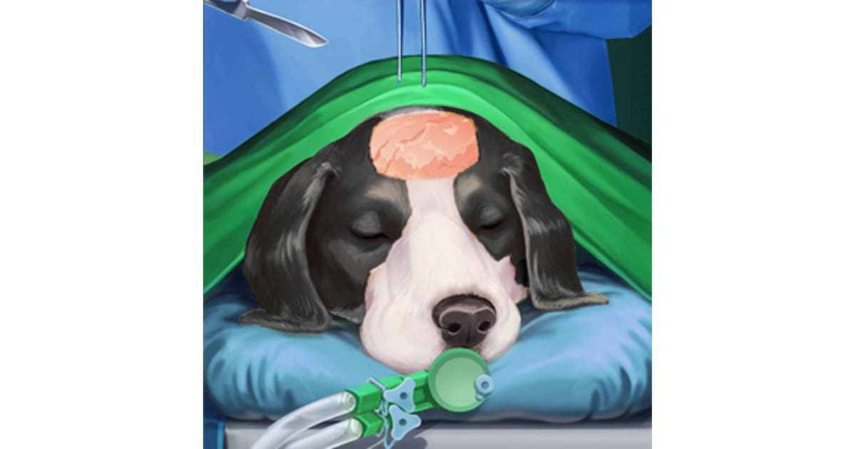 My Pet Vet Hospital - Play My Pet Vet Hospital Online at TopGames.Com