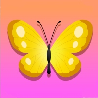 BUTTERFLY KYODAI HD - Play BUTTERFLY KYODAI HD Online at TopGames.Com